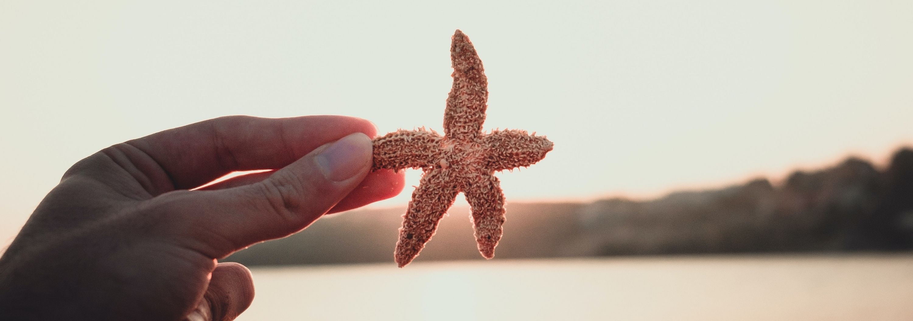 My Starfish Foundation - About My Startfish Foundation